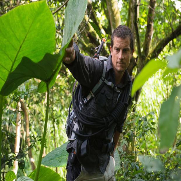 Cunard Alaska 2023 Insights Programme - Paramount Cruises Blog