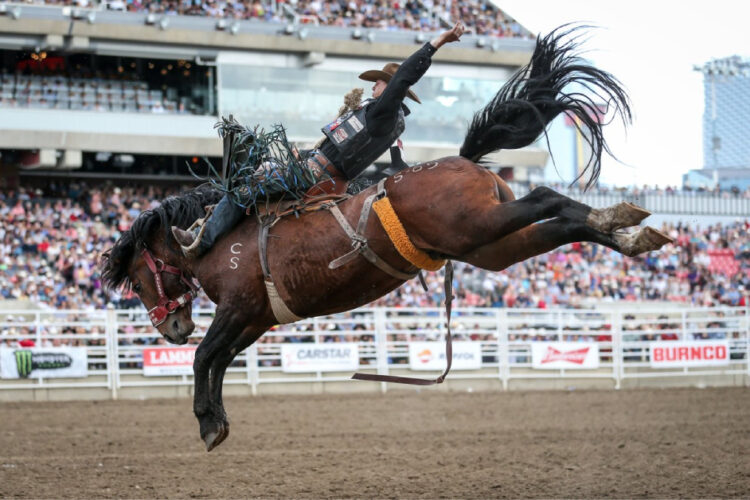 Calgary Stampede - Paramount Cruises Blog