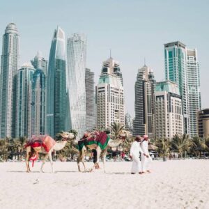 MSC Cruises World Cruise 2026 - Paramount Cruises Blog